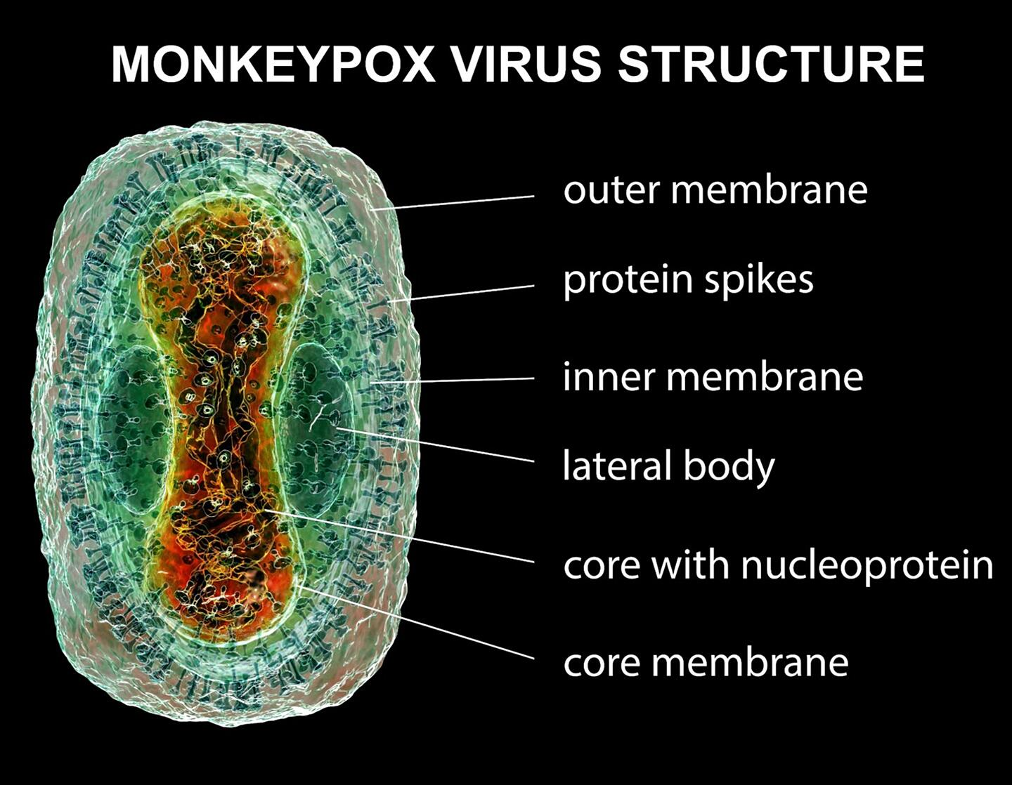 monkeypox.